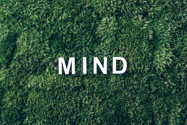 Mental Health and Mindful Detox: A Holistic Approach